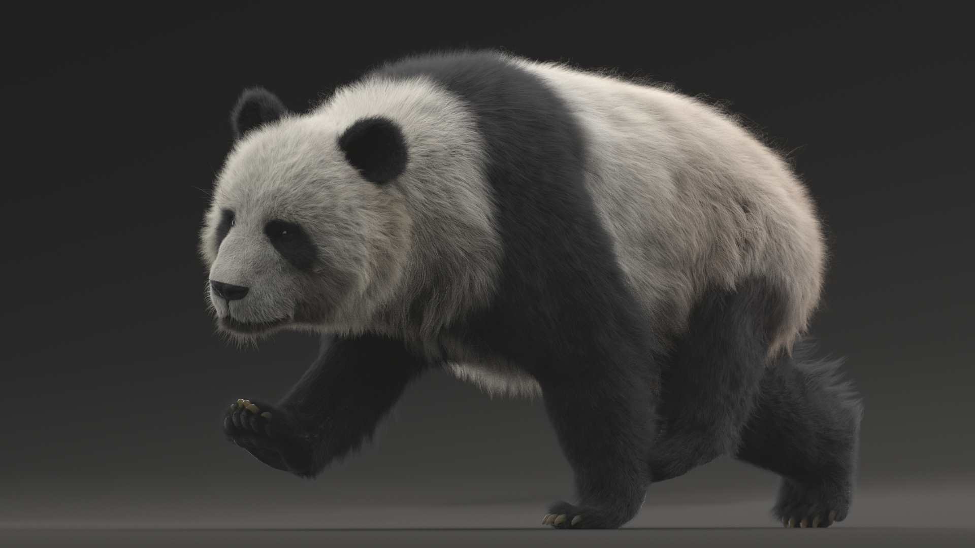 Panda Rigged 3D Model - TurboSquid 1537949