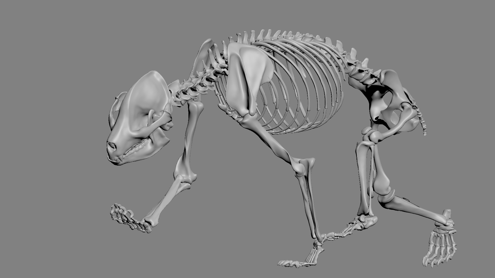 Panda Rigged 3D Model - TurboSquid 1537949