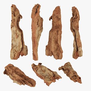 Download Free & Premium Driftwood 3D Models | TurboSquid