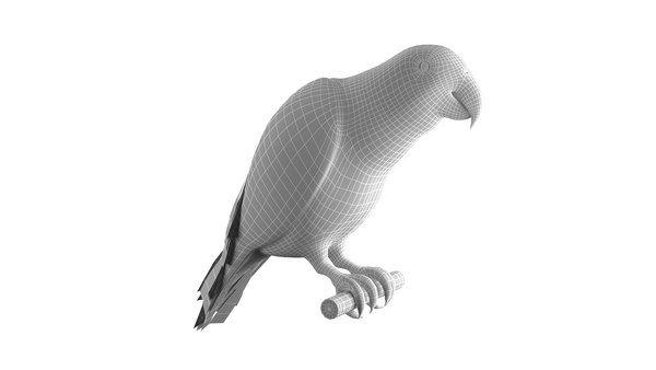 modelo 3d Parrot - TurboSquid 1955485