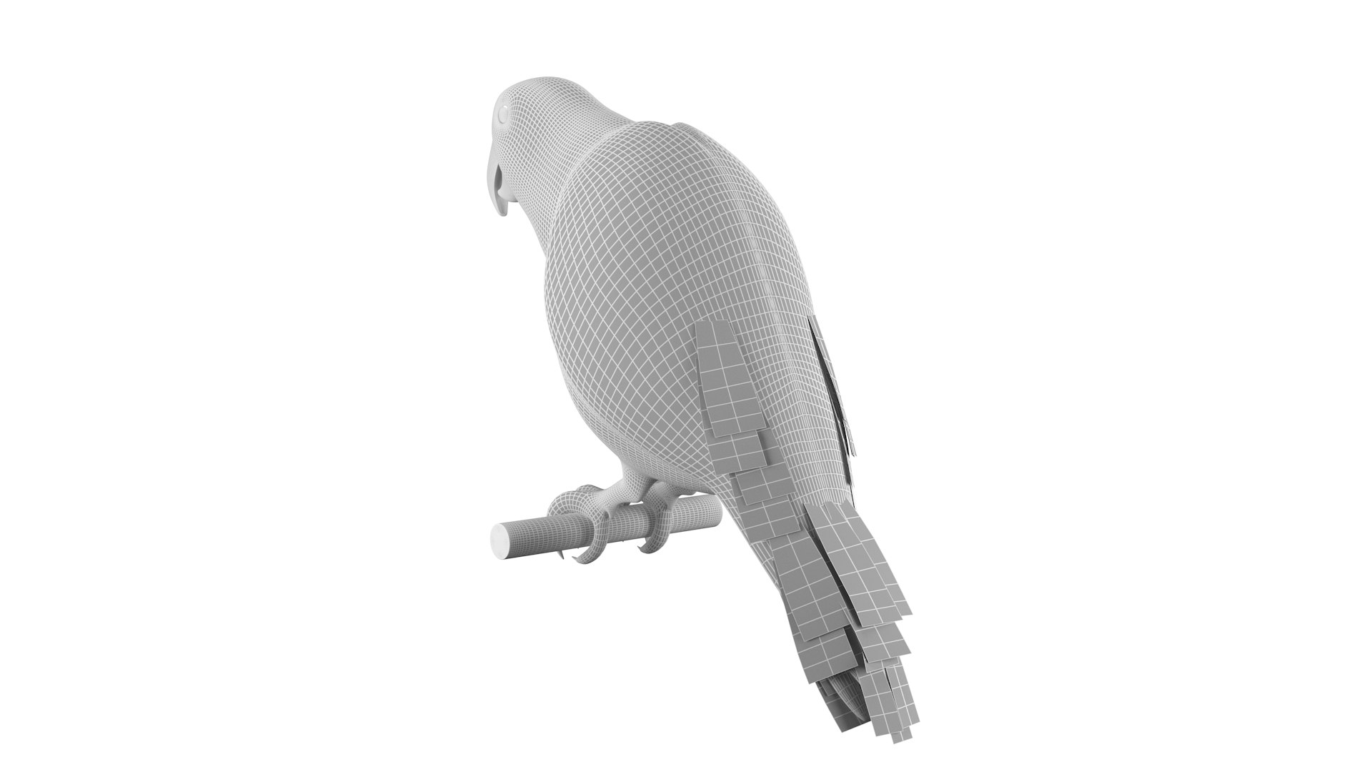 3D Parrot Model - TurboSquid 1955485