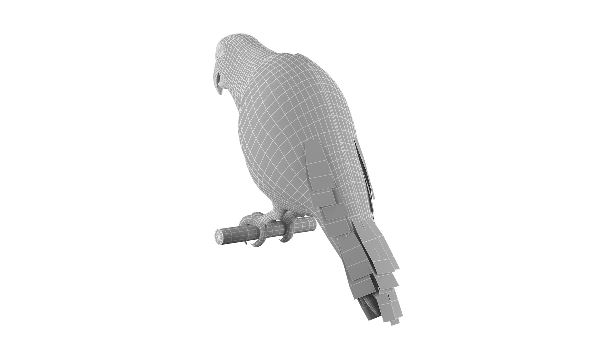3D Parrot Model - TurboSquid 1955485