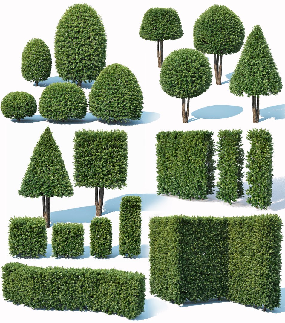 Mega 32 Taxus 3D Model - TurboSquid 1376107