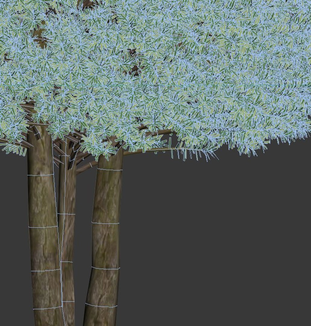 Mega 32 Taxus 3D Model - TurboSquid 1376107