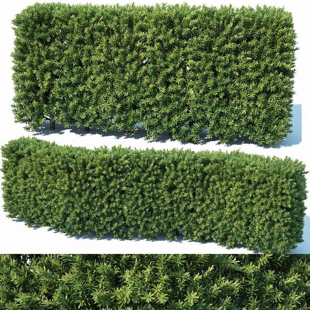 Mega 32 Taxus 3D Model - TurboSquid 1376107