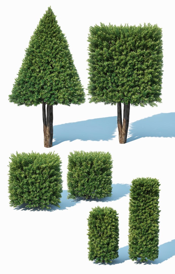 Mega 32 Taxus 3D Model - TurboSquid 1376107