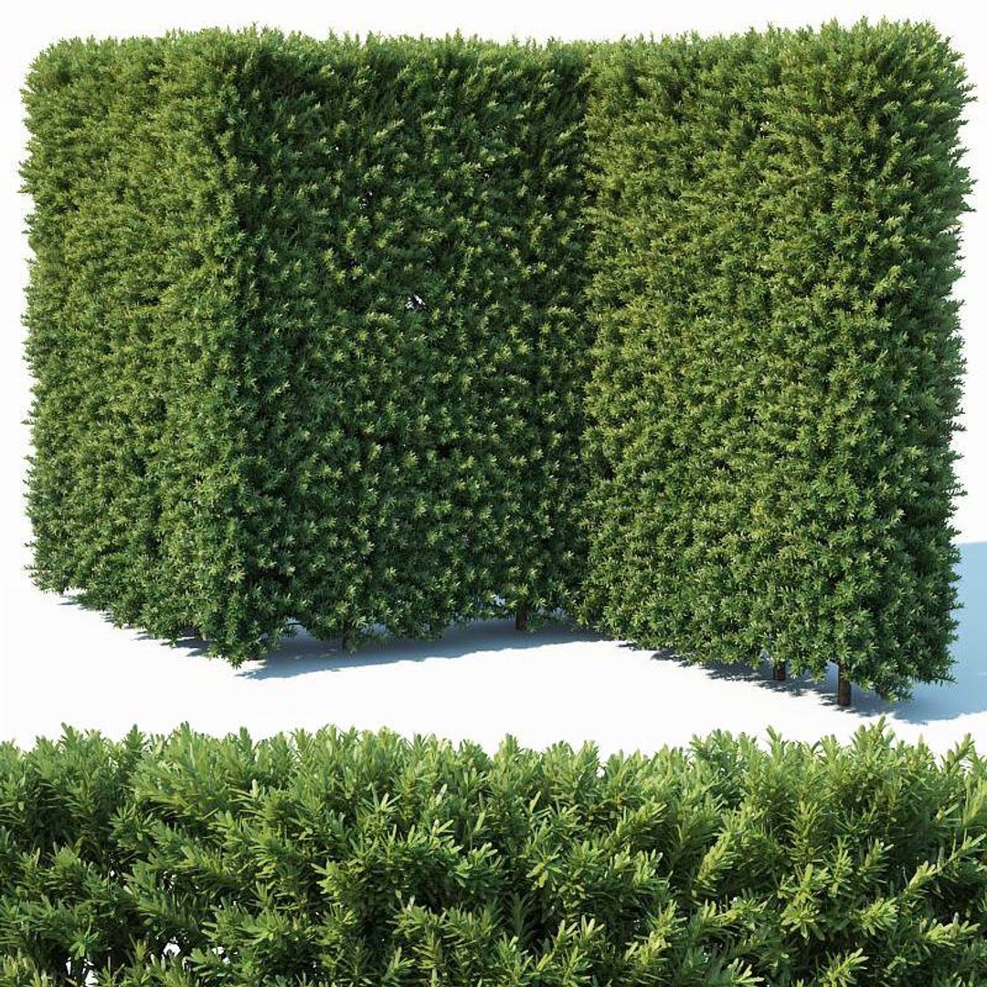 Mega 32 Taxus 3D Model - TurboSquid 1376107