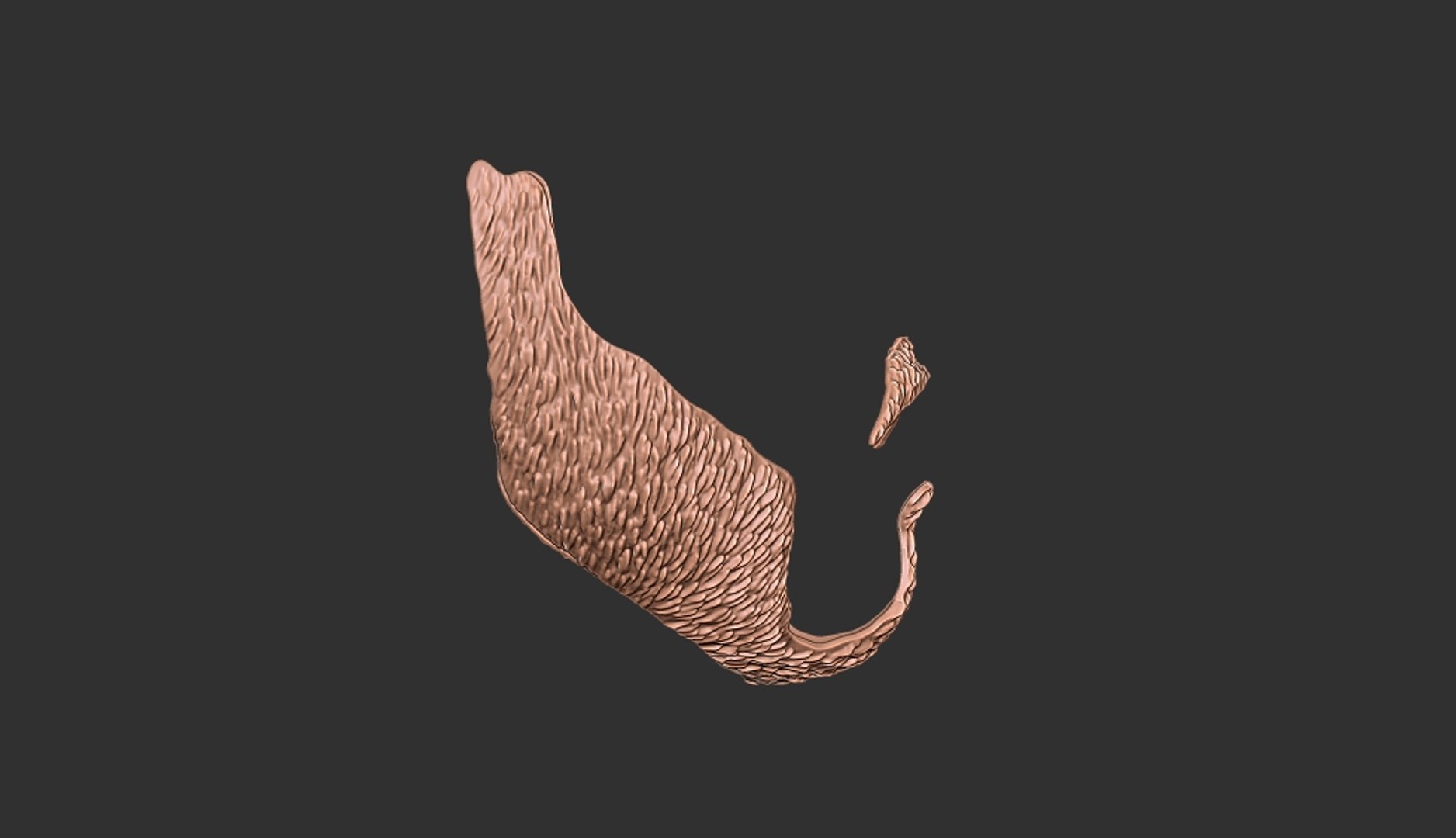 Beard 3 3D Model - TurboSquid 2019669