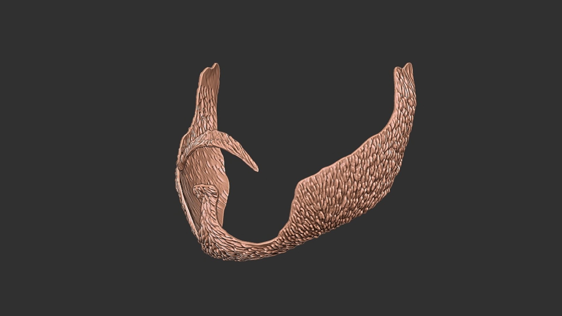 Beard 3 3D Model - TurboSquid 2019669