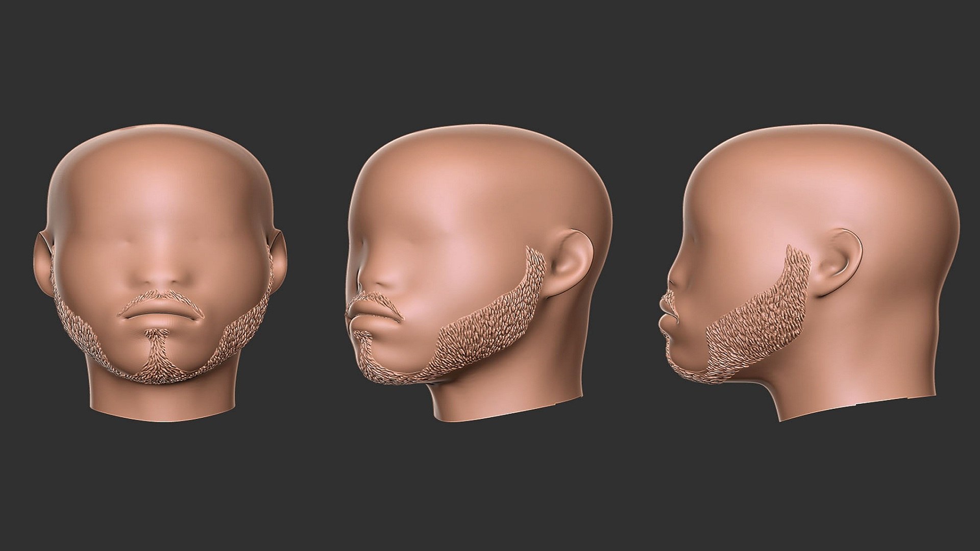 Beard 3 3D Model - TurboSquid 2019669