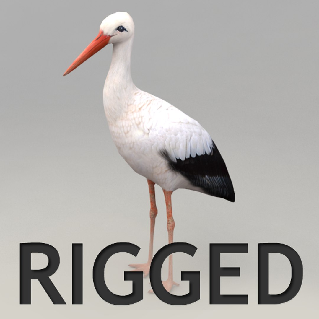 Standing Stork Rigged 3d Max
