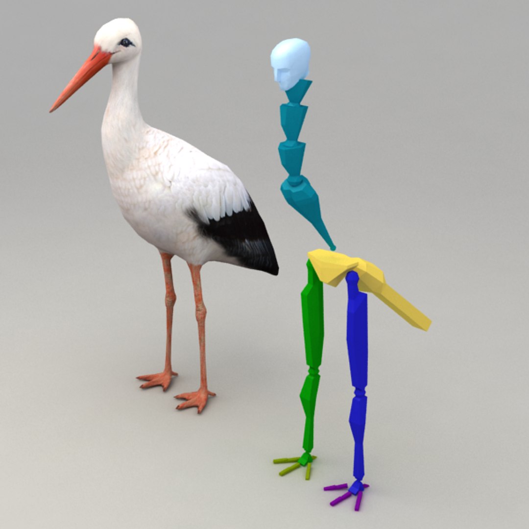 Standing Stork Rigged 3d Max