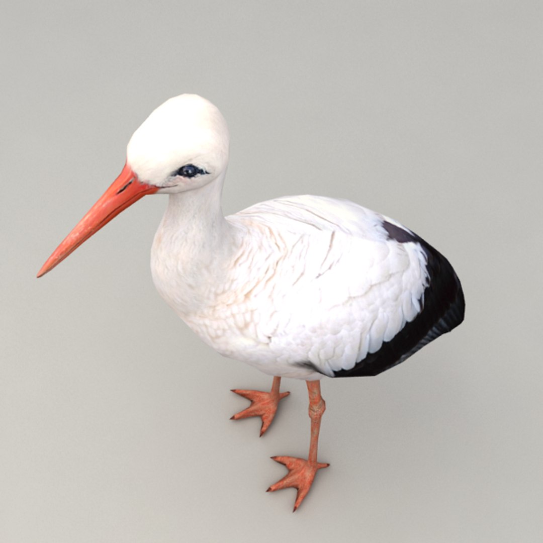 Standing Stork Rigged 3d Max