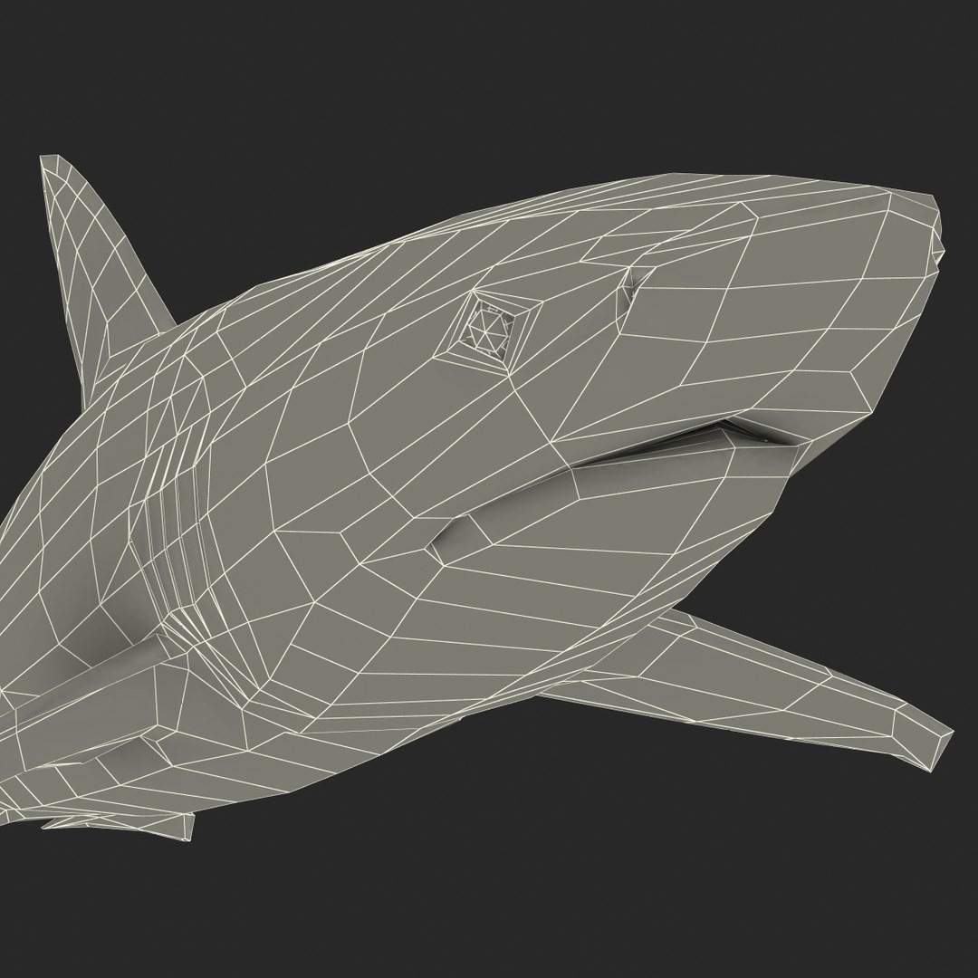 max dusky shark rigged