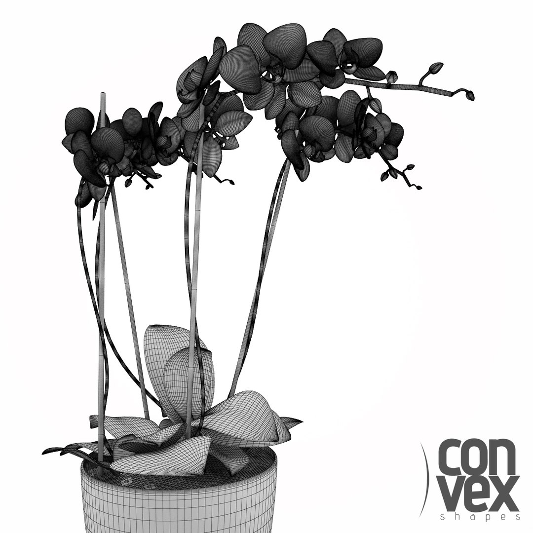 C4d Potted Plants 15