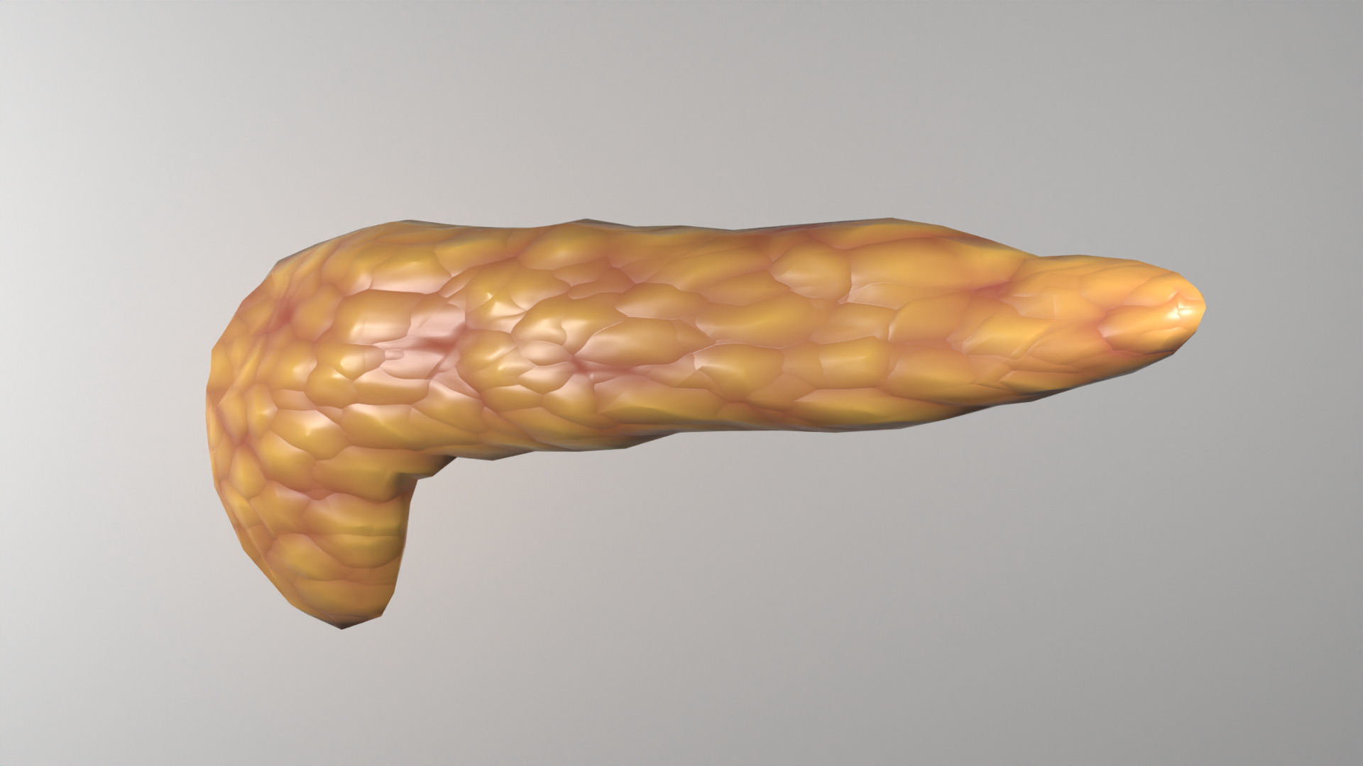 Pancreas1 Model - TurboSquid 2107659