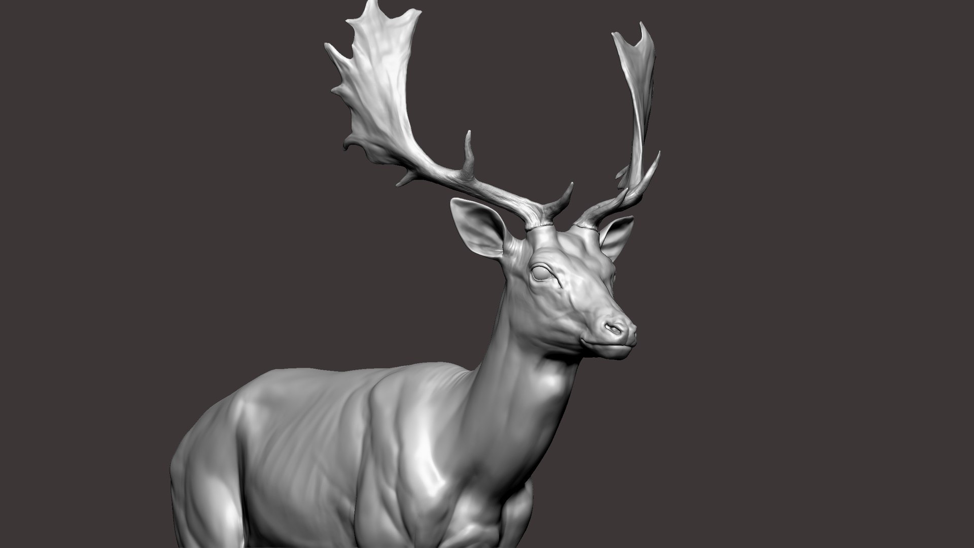 3D Model Fallow Deer Dama Dama Zbrush Sculpture Digital - TurboSquid ...
