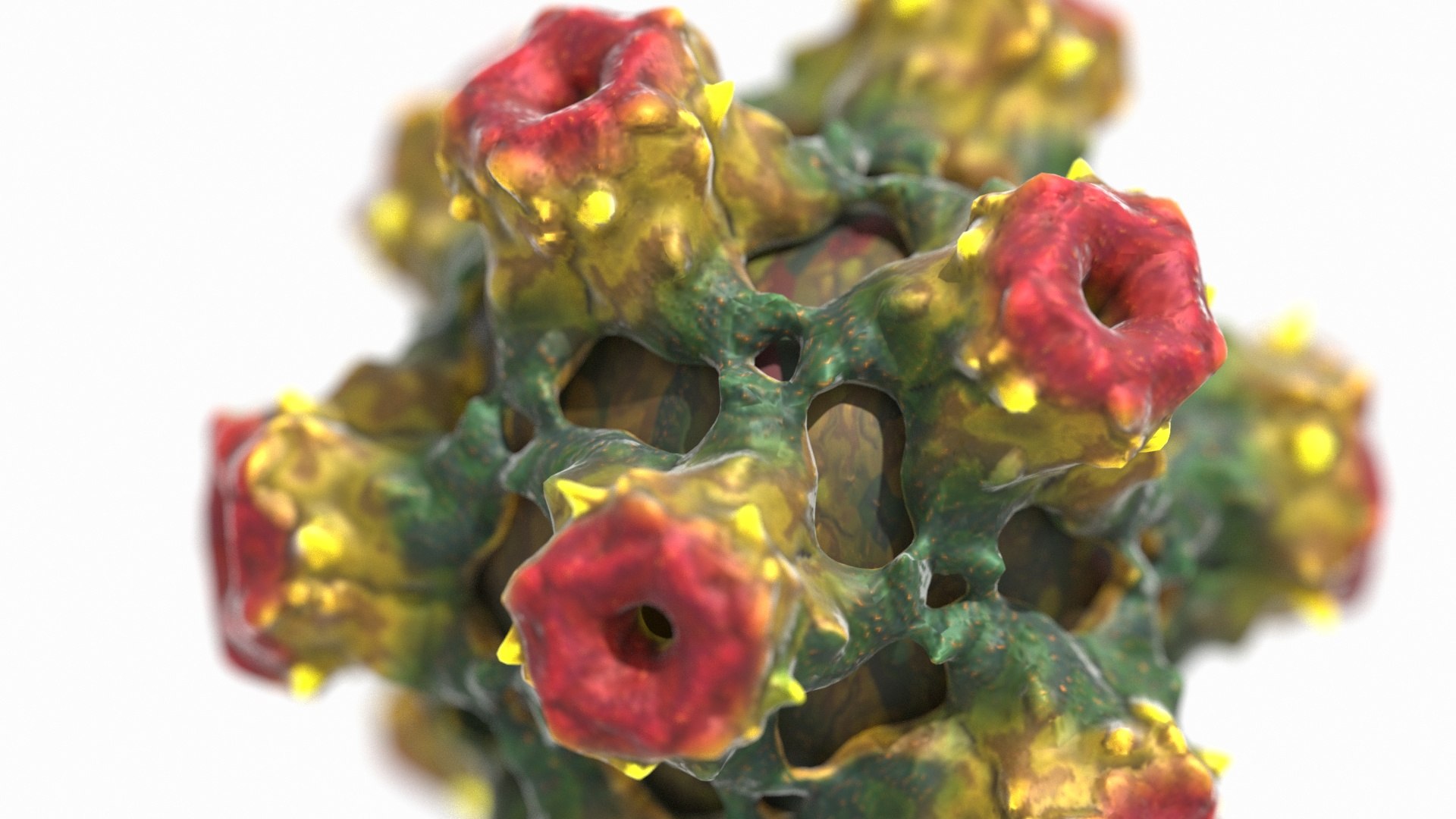 3D Biological Human Papillomavirus Hpv - TurboSquid 1473876