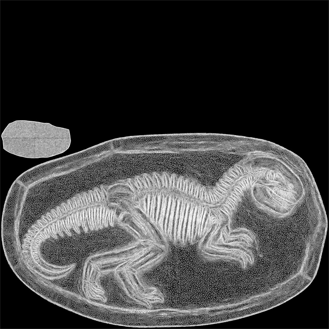 9 Dinosaur Fossils Collection 1 3D Model - TurboSquid 2298862