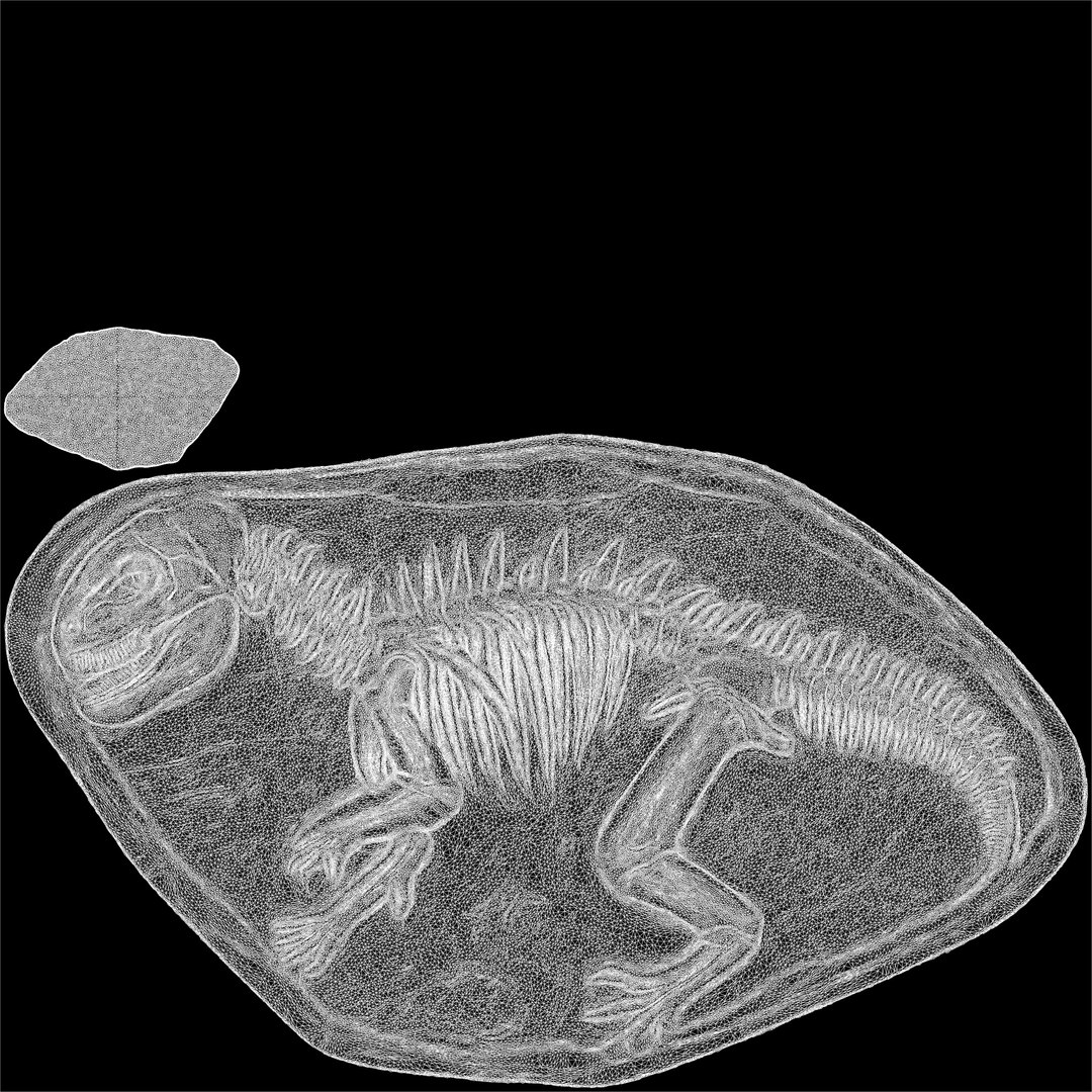 9 Dinosaur Fossils Collection 1 3D Model - TurboSquid 2298862