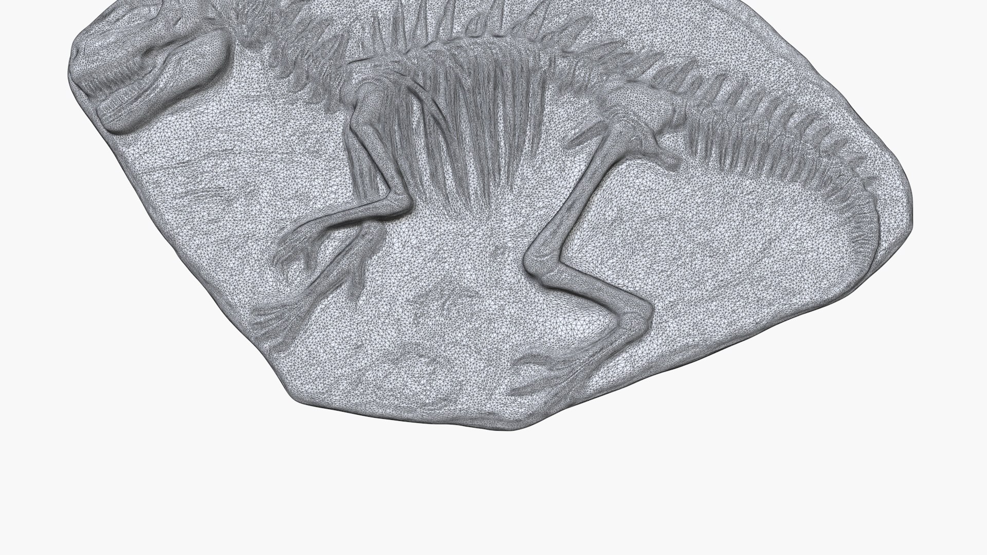 9 Dinosaur Fossils Collection 1 3D Model - TurboSquid 2298862