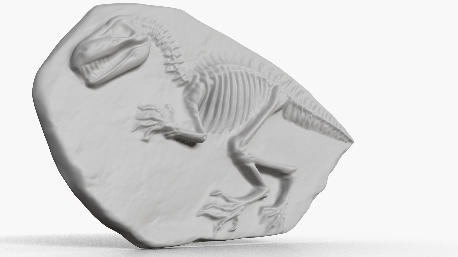 9 Dinosaur Fossils Collection 1 3D Model - TurboSquid 2298862