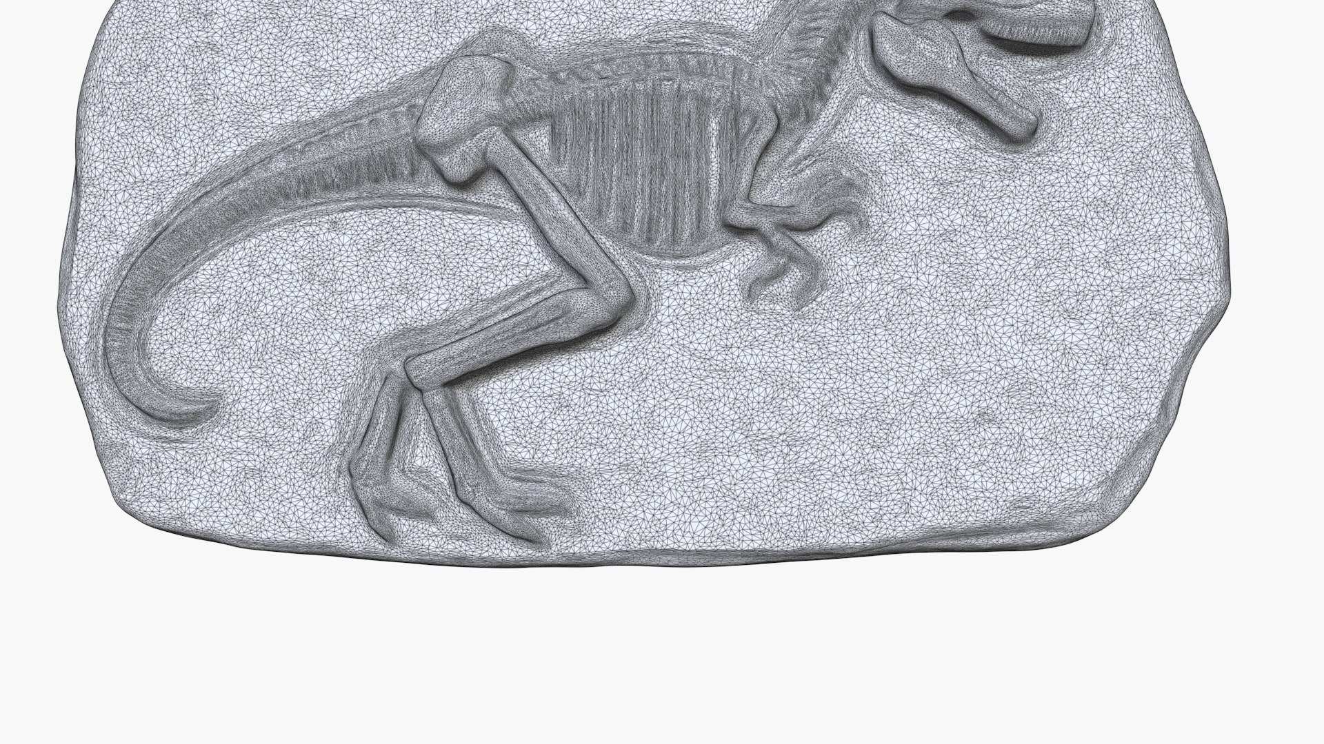 9 Dinosaur Fossils Collection 1 3D Model - TurboSquid 2298862