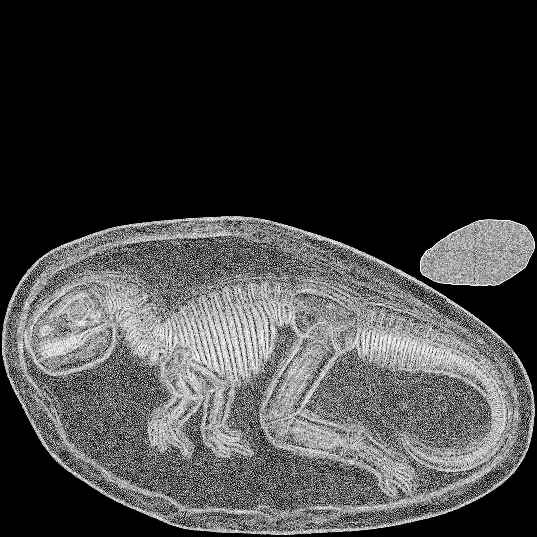 9 Dinosaur Fossils Collection 1 3D Model - TurboSquid 2298862