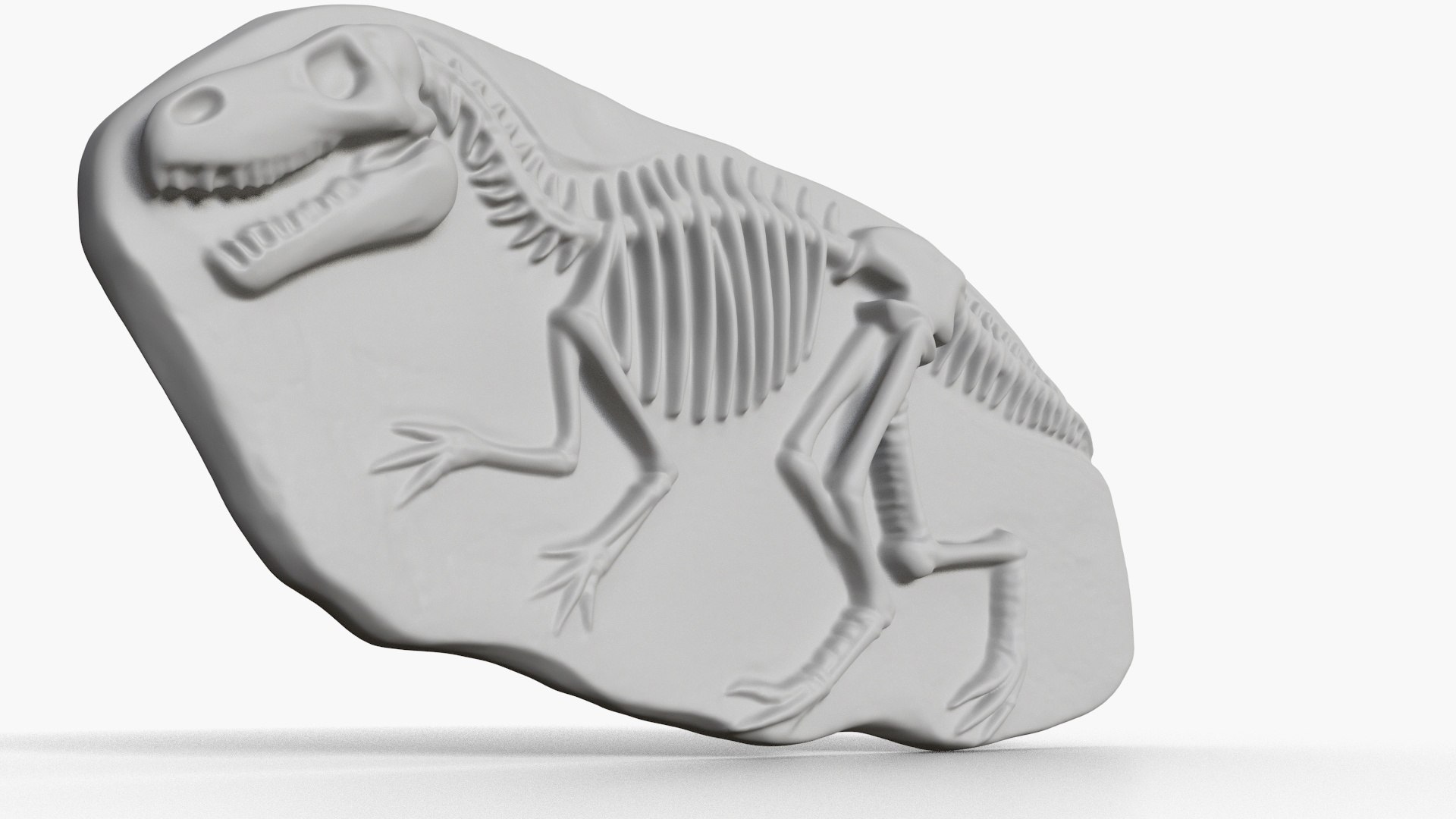 9 Dinosaur Fossils Collection 1 3D Model - TurboSquid 2298862