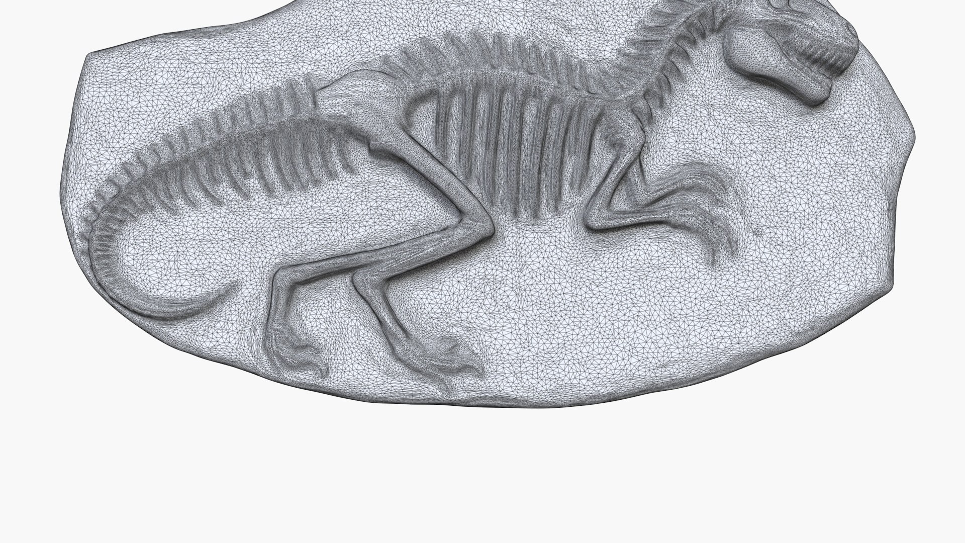 9 Dinosaur Fossils Collection 1 3D Model - TurboSquid 2298862