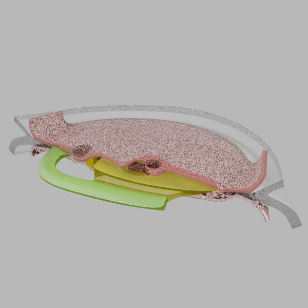 Cell Blender Models for Download | TurboSquid