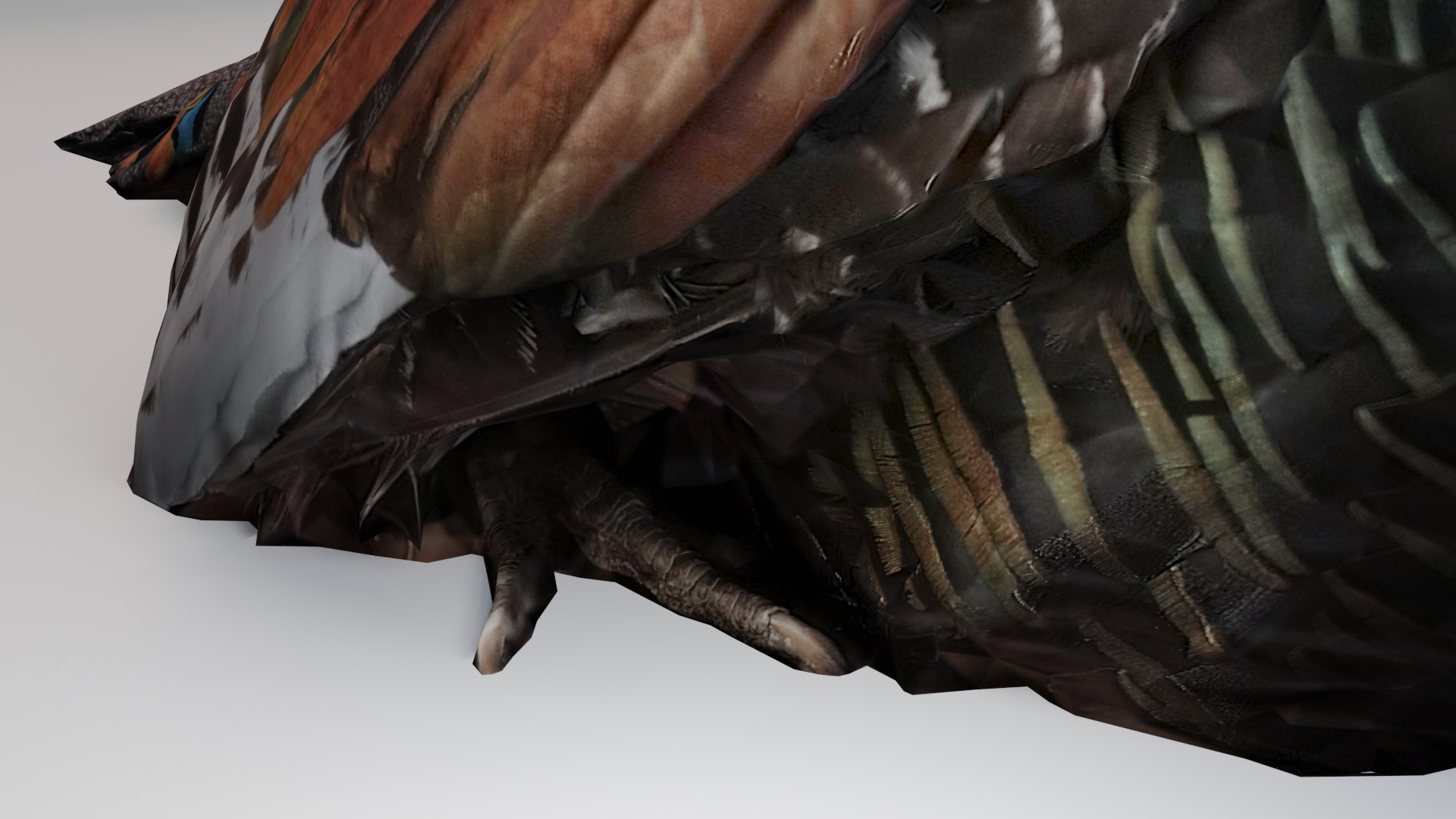 3D turkey model - TurboSquid 1767710