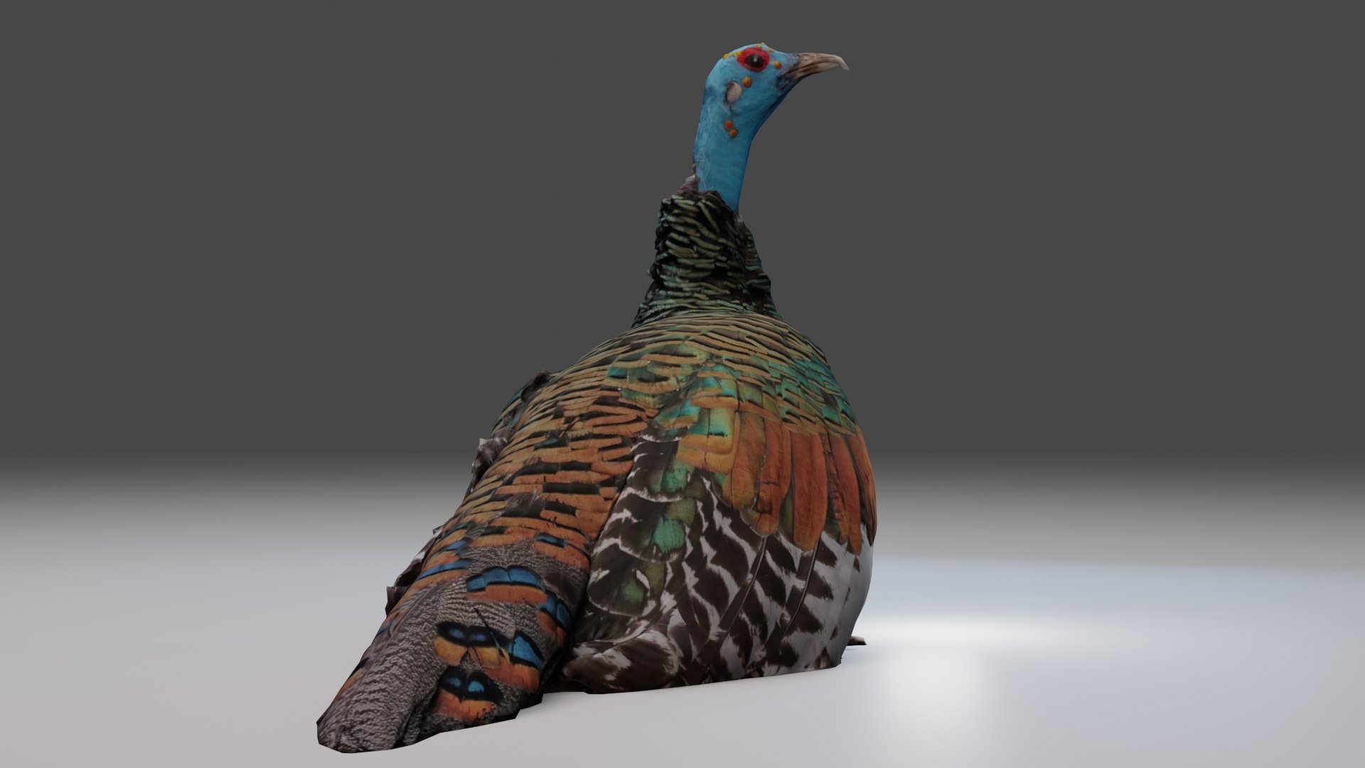 3D turkey model - TurboSquid 1767710
