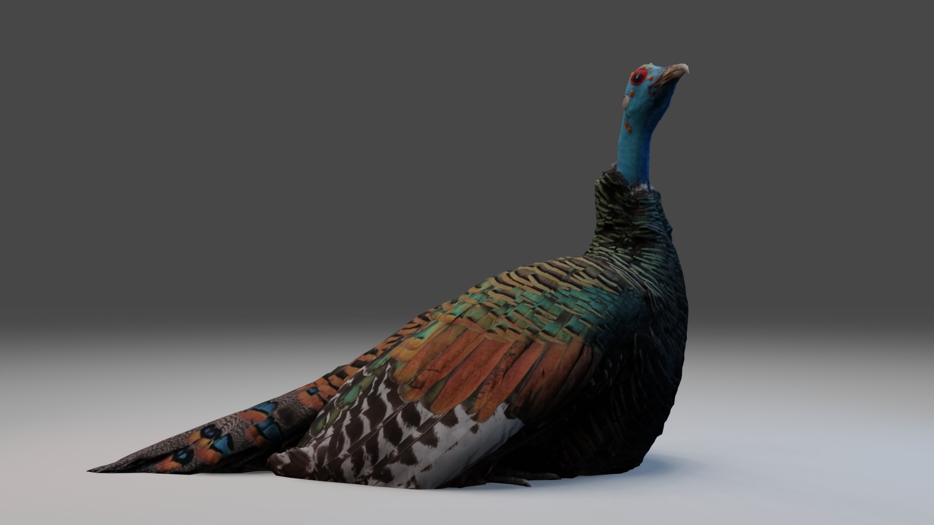 3D turkey model - TurboSquid 1767710