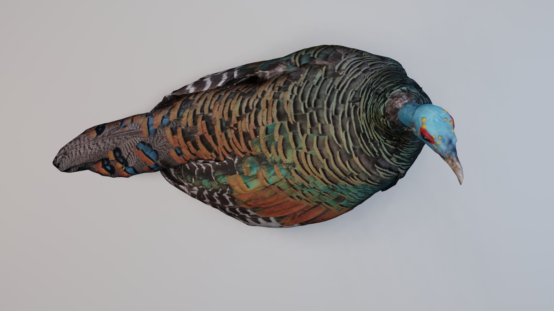 3D turkey model - TurboSquid 1767710