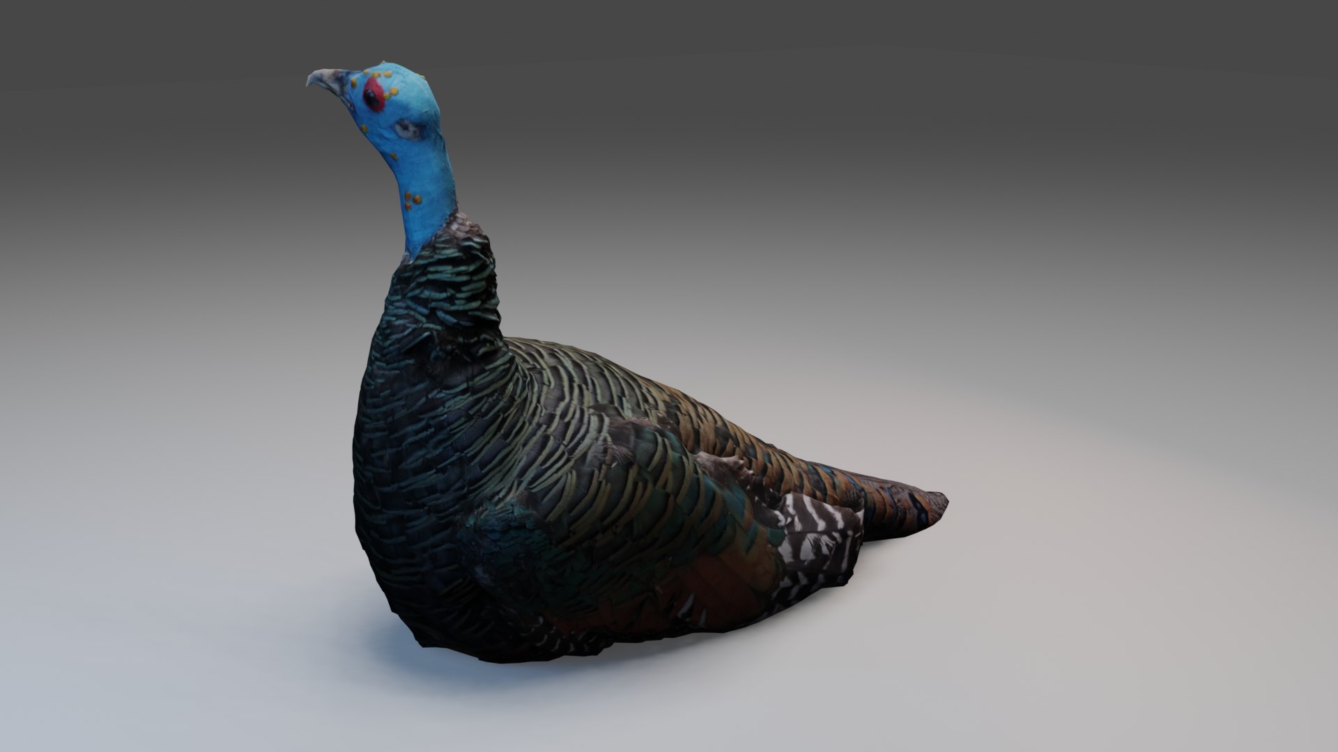 3D turkey model - TurboSquid 1767710