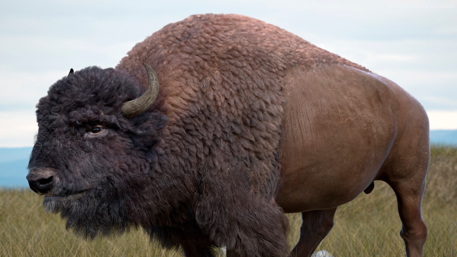 Walking American Bison With Fur 3D Model - TurboSquid 2131121