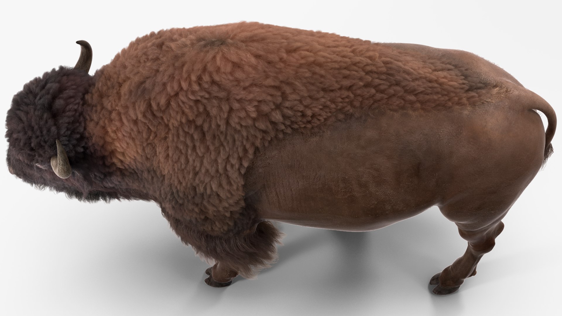 Walking American Bison with Fur 3D model - TurboSquid 2131121