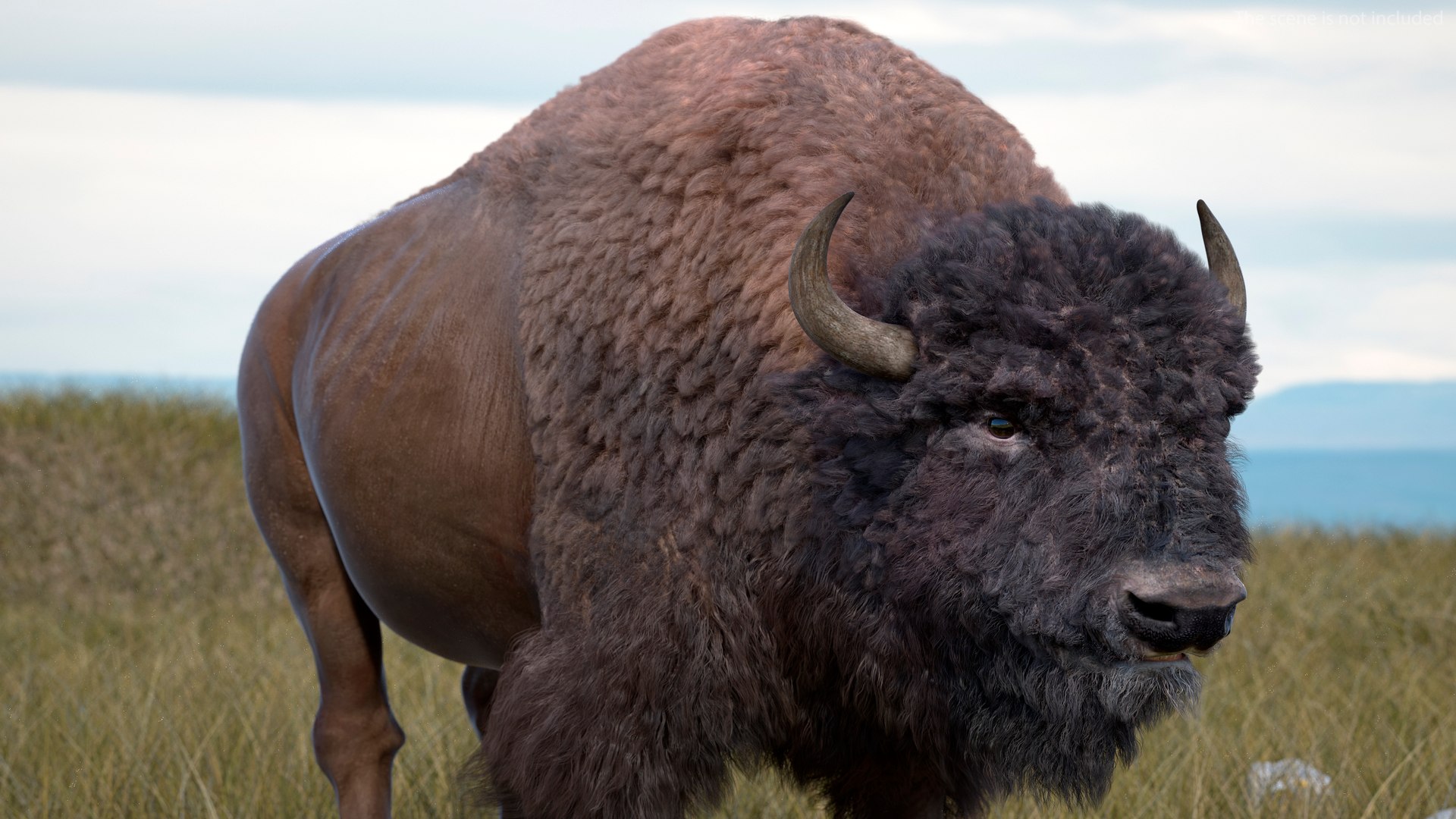 Walking American Bison With Fur 3D Model - TurboSquid 2131121