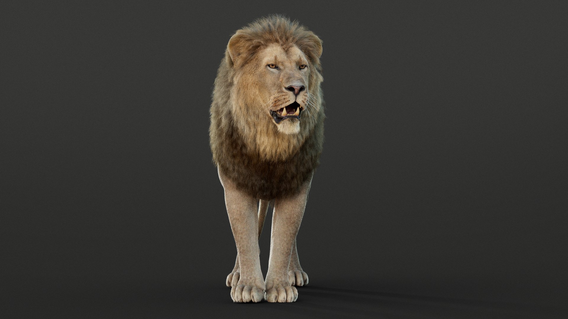 3D Lion 2025 RIG Xgen-Core Model - TurboSquid 2457125