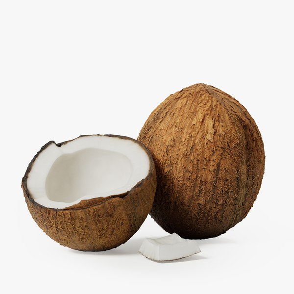 3d coconut nut model