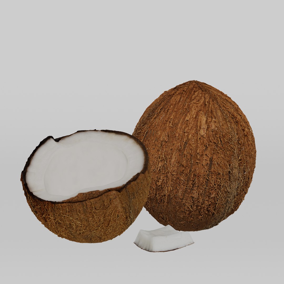 Coconuts 3D Model - TurboSquid 1874174
