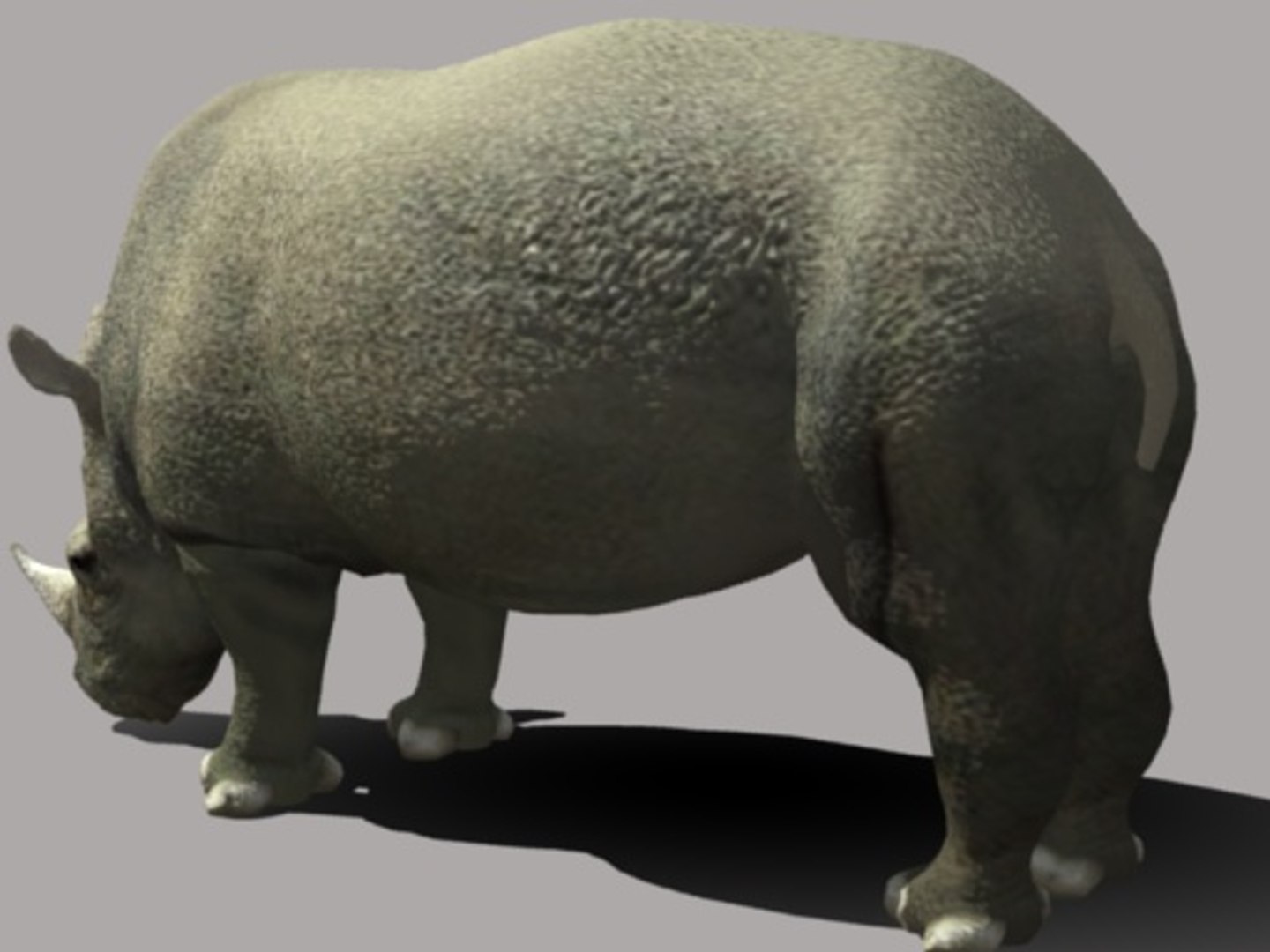 3ds Real Rhino