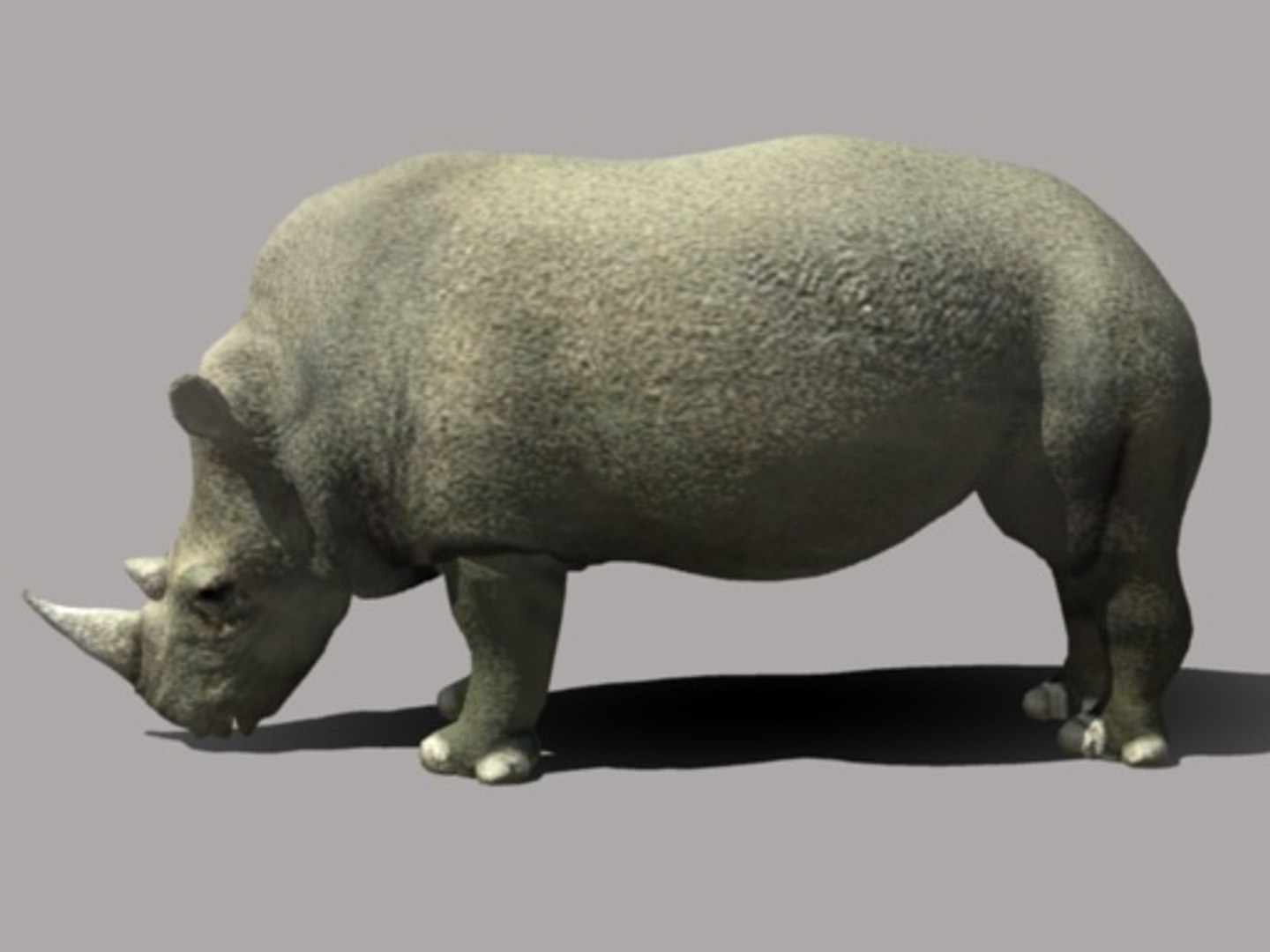 3ds Real Rhino