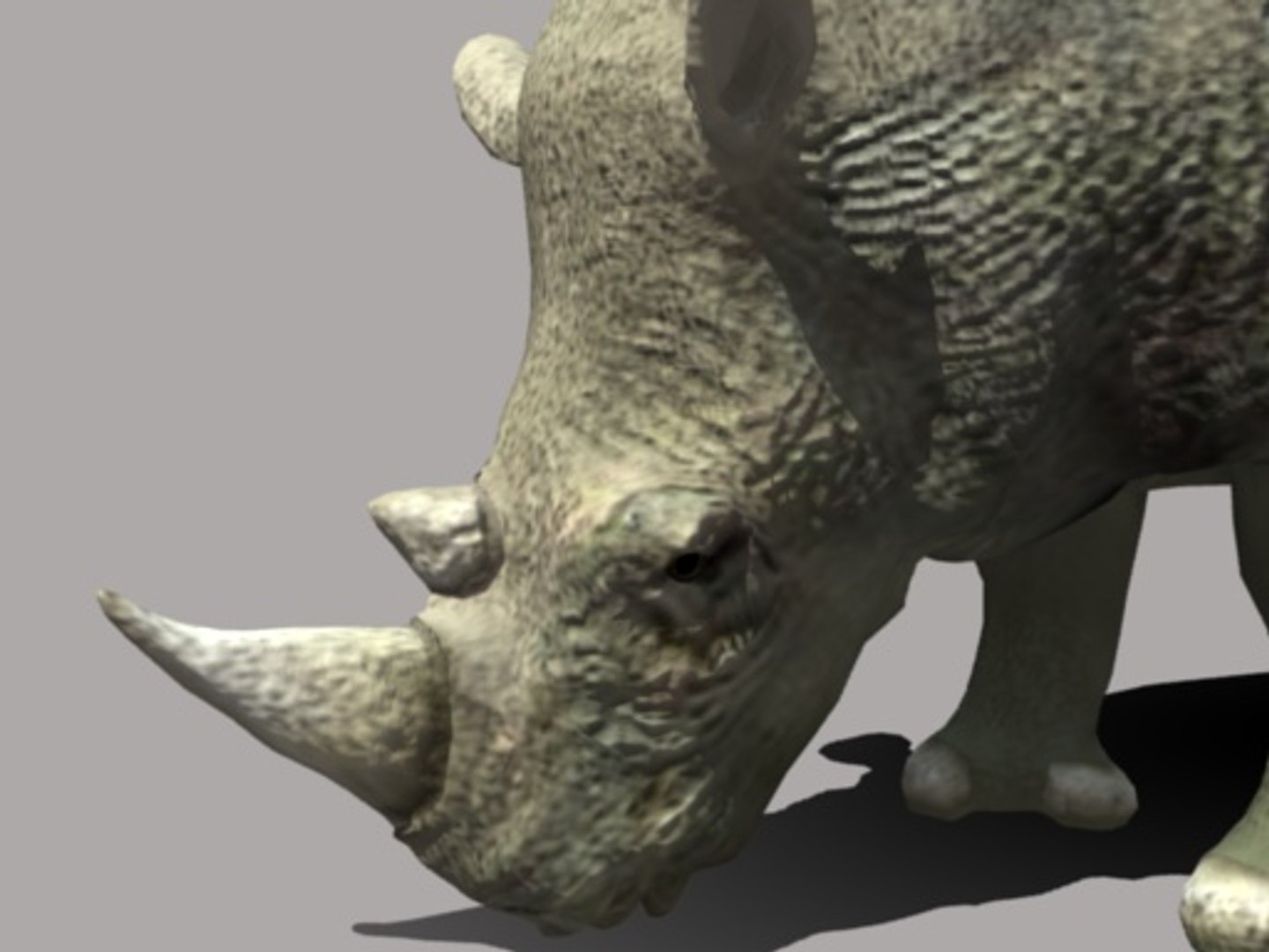 3ds Real Rhino