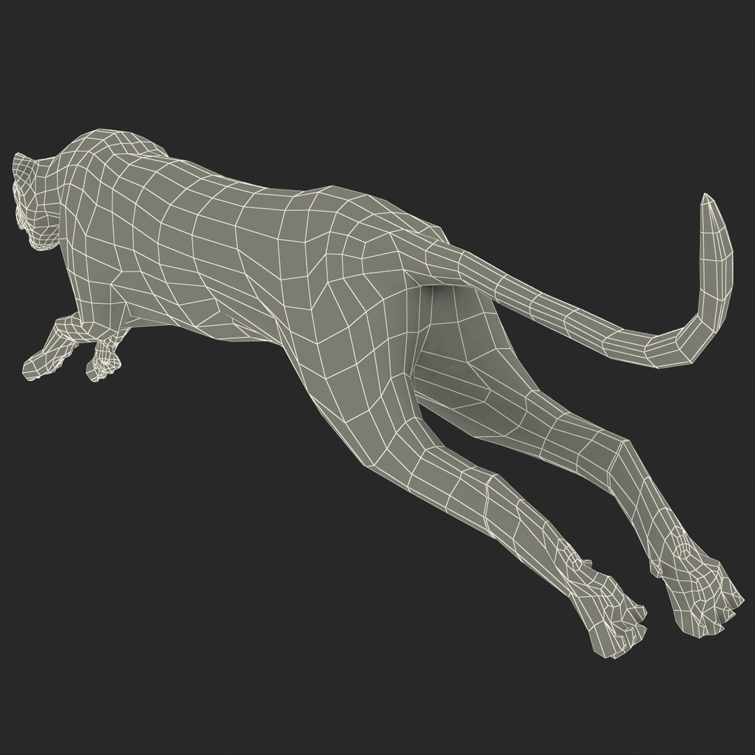 3d cheetah pose model