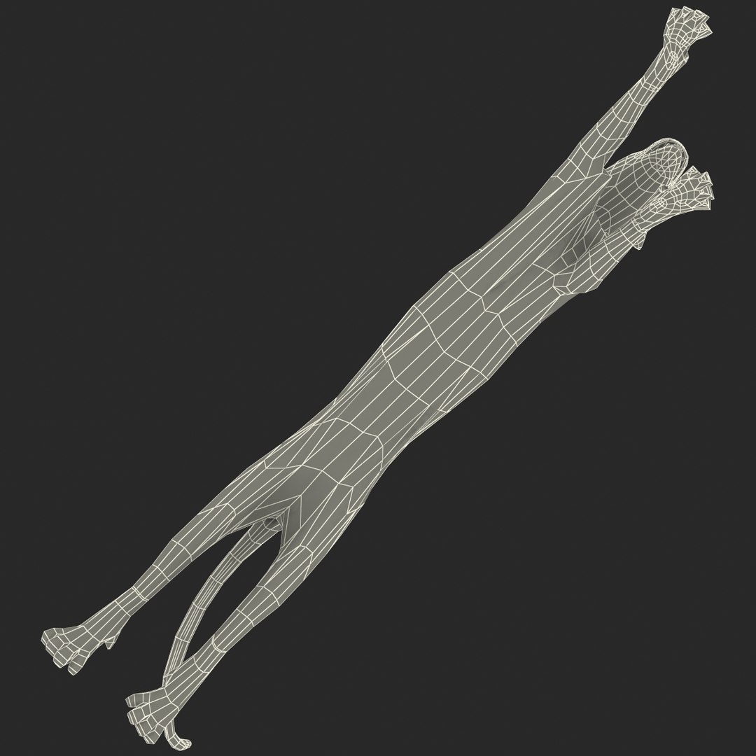 3d cheetah pose model
