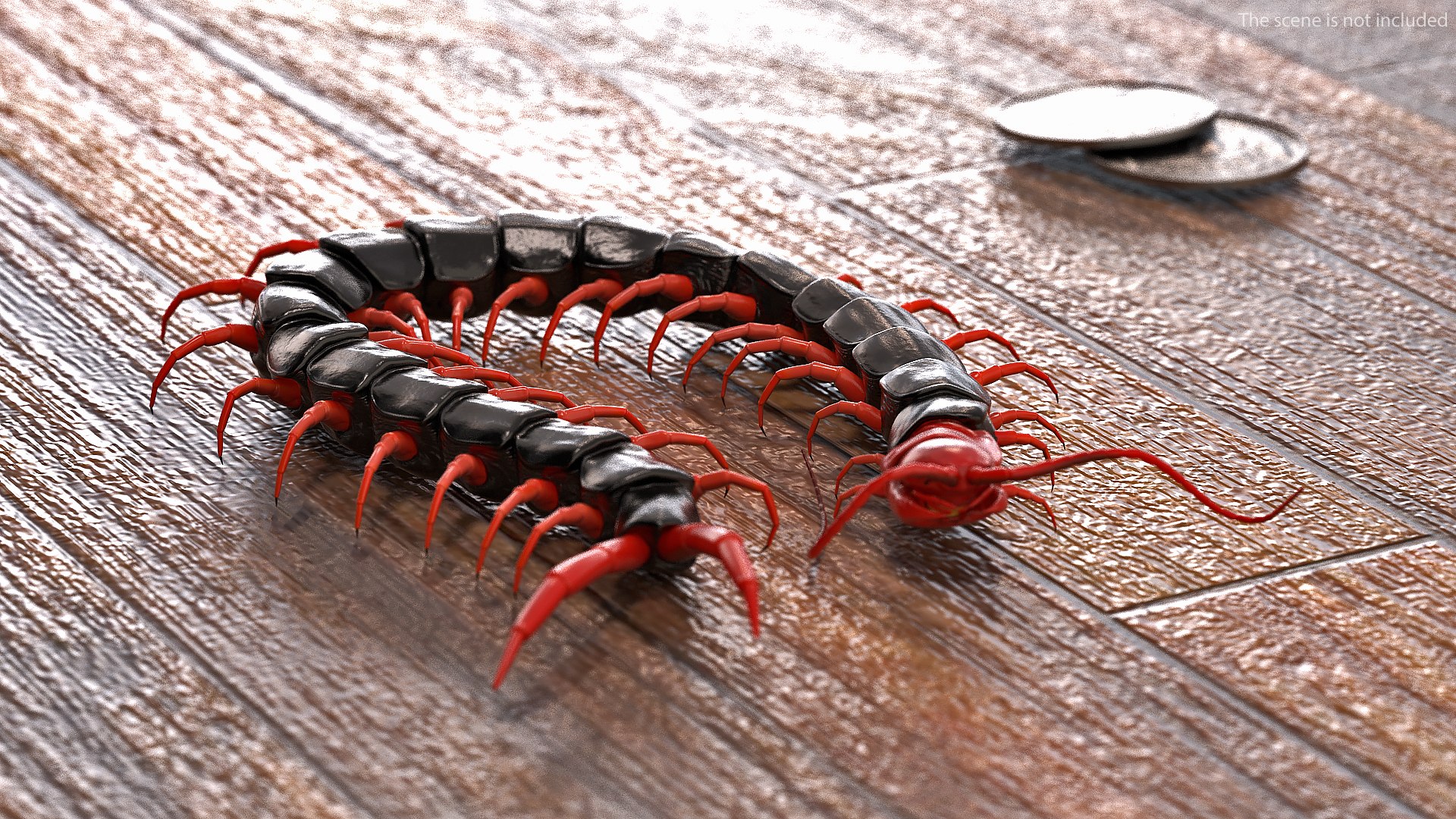 3D Chinese Red Headed Centipede - TurboSquid 1546066