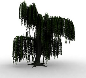 Low Poly Willow Tree 3D Models for Download | TurboSquid