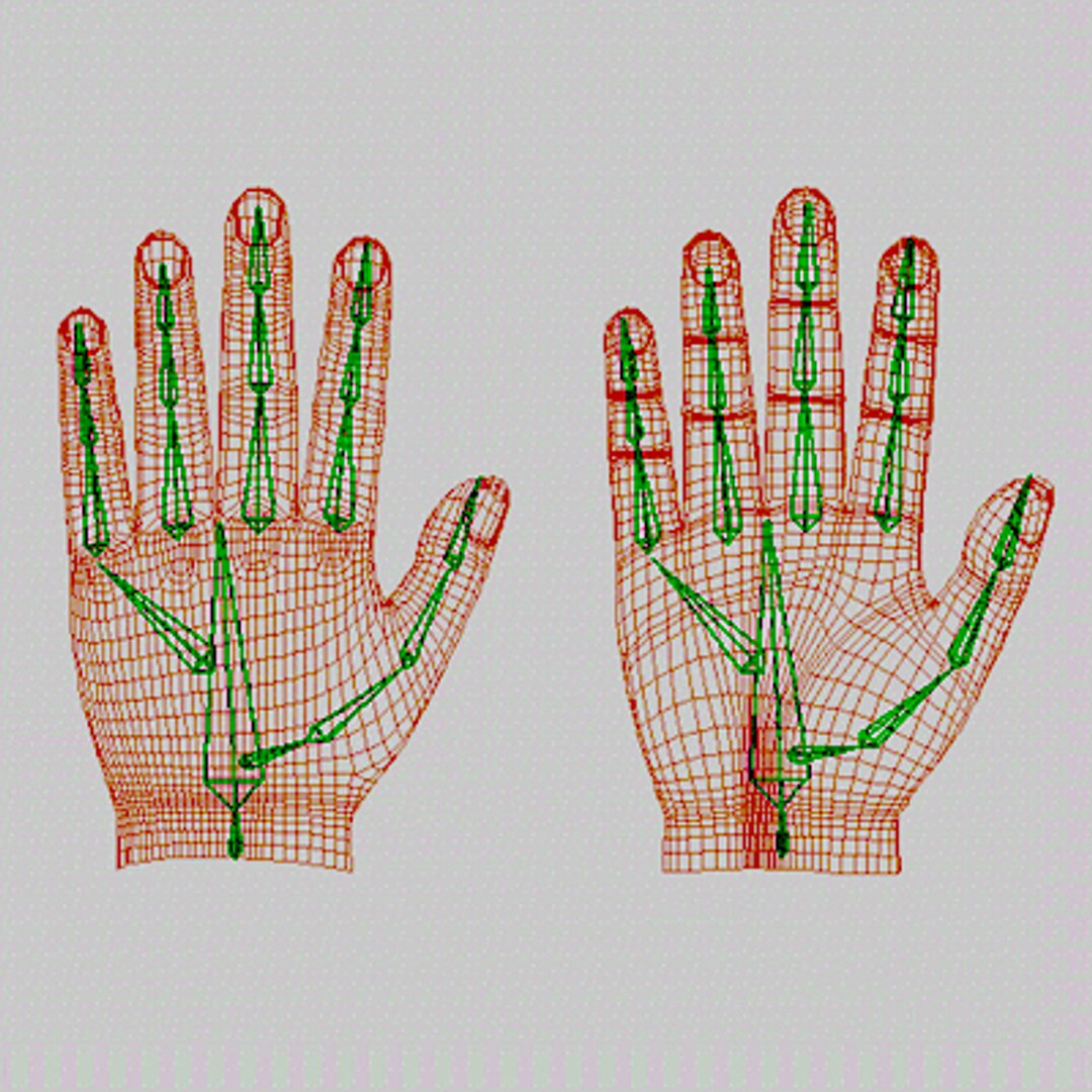hands 3d x